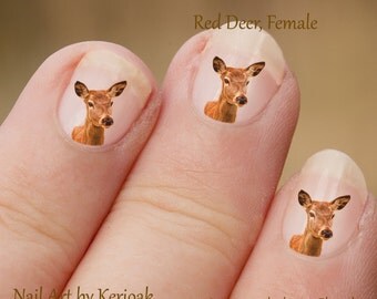 Deer nails | Etsy