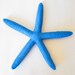 Painted Starfish 6-7Set of Three-Robin's