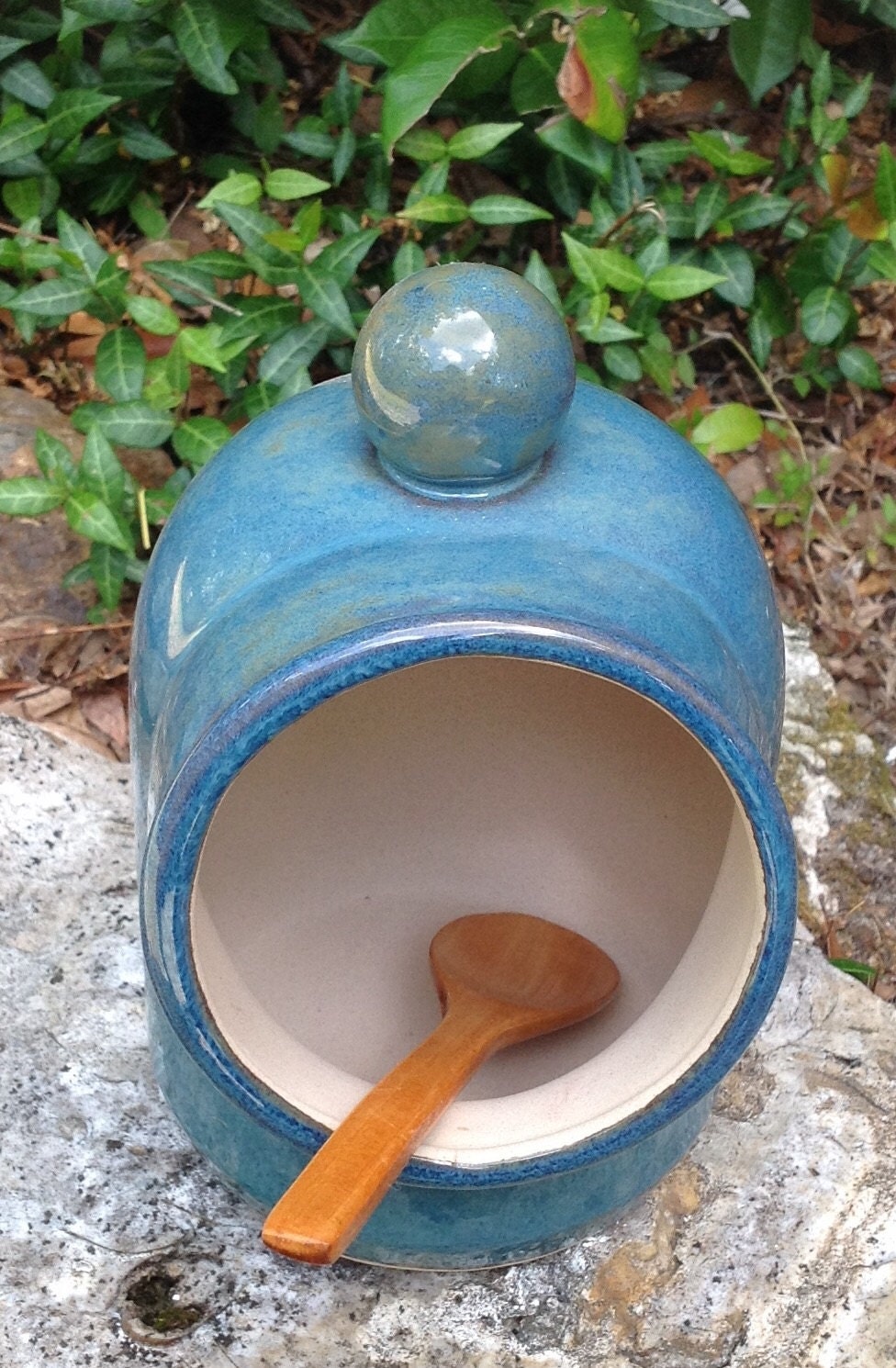 Blue salt pig salt cellar foodie cook kitchen hostess by muddyme