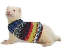 Popular items for ferret clothes on Etsy