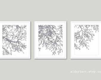 Modern Spring Tree Branches Prints Set of 3 Woodland Home