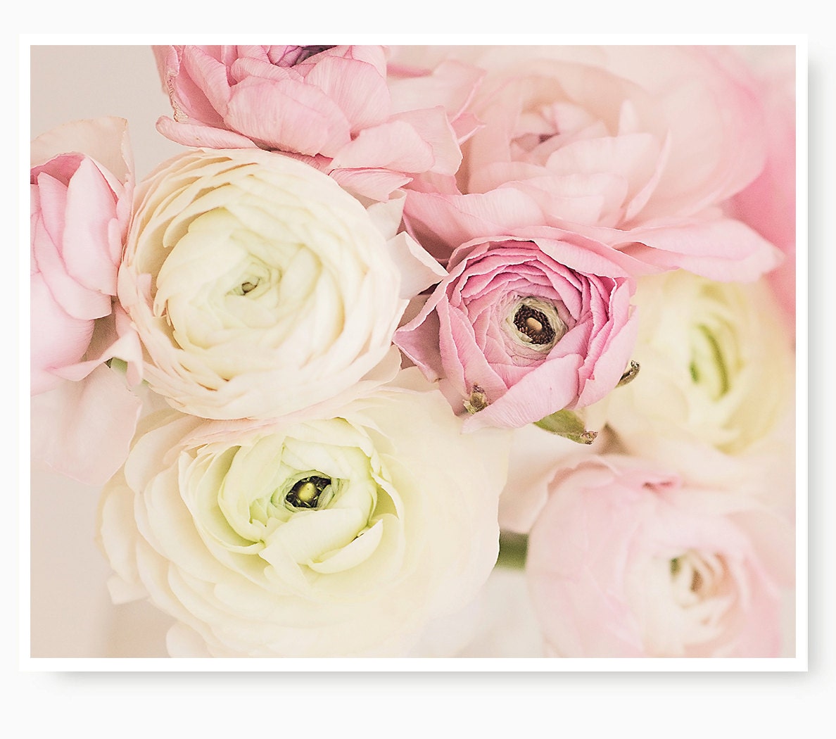 Pastel Flower Print flower photography home by semisweetstudios