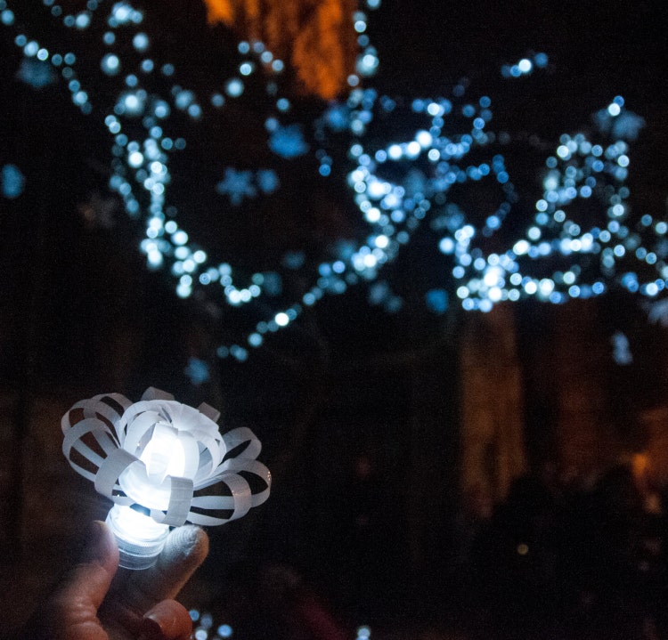 LED Plastic Bottle Flowers by SarahTurnerEcoDesign on Etsy