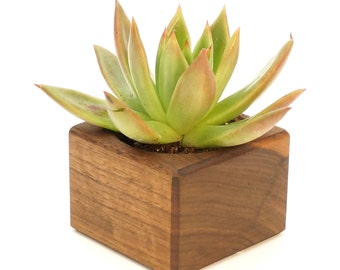 Magnetic planter | Etsy