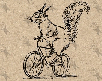 Squirrel on bike | Etsy