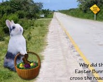 Popular items for dead bunny on Etsy