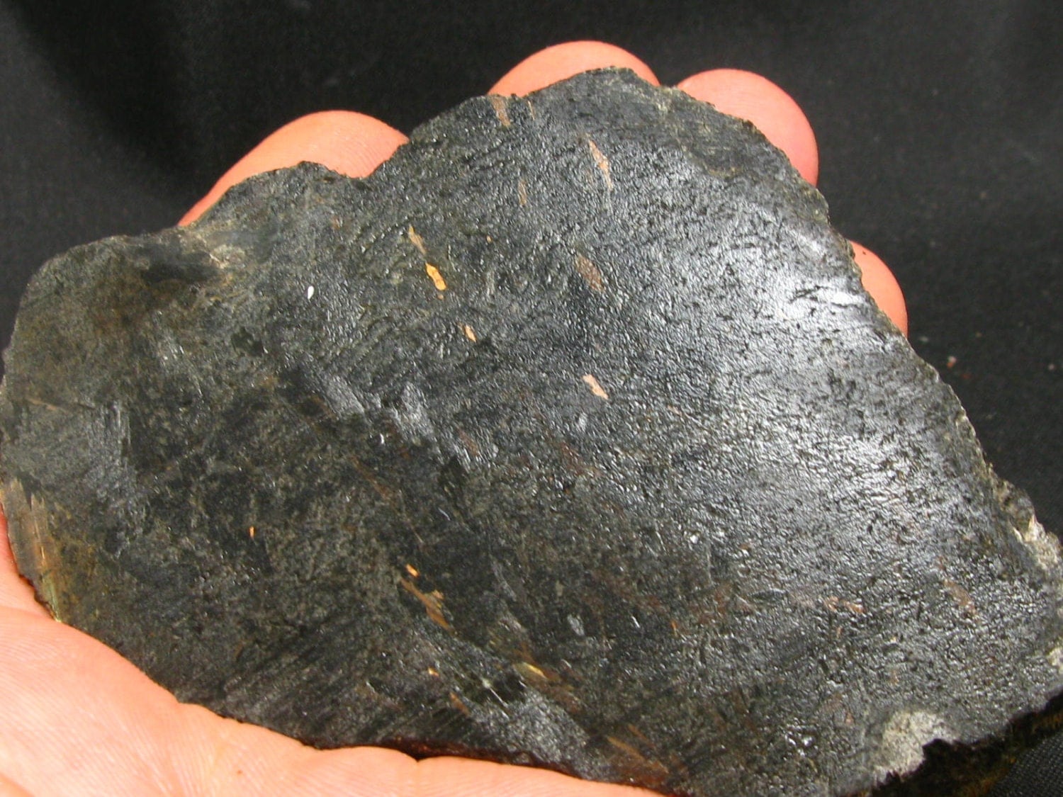 Rare Nuumite Nuummite Raw Slab From Greenland 154 Grams