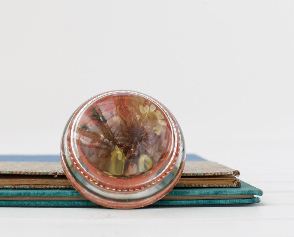 Vintage Glass Flower Paperweight, Dried Flower Domed Paperweight ...