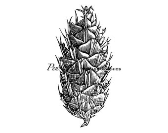 Pine cone stencil | Etsy