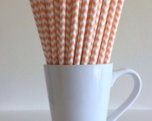 Popular items for peach paper straws on Etsy