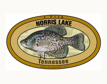 Crappie decal | Etsy