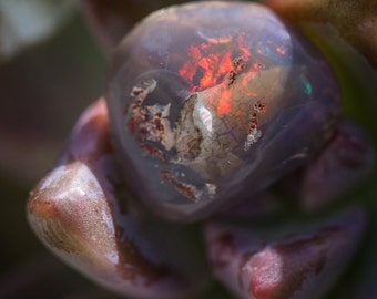 Opals Crystals Jewelry. We cannot see our by CosmicOpals on Etsy
