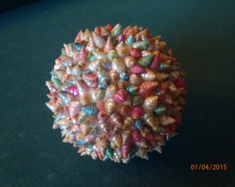 Popular items for small sea shells on Etsy