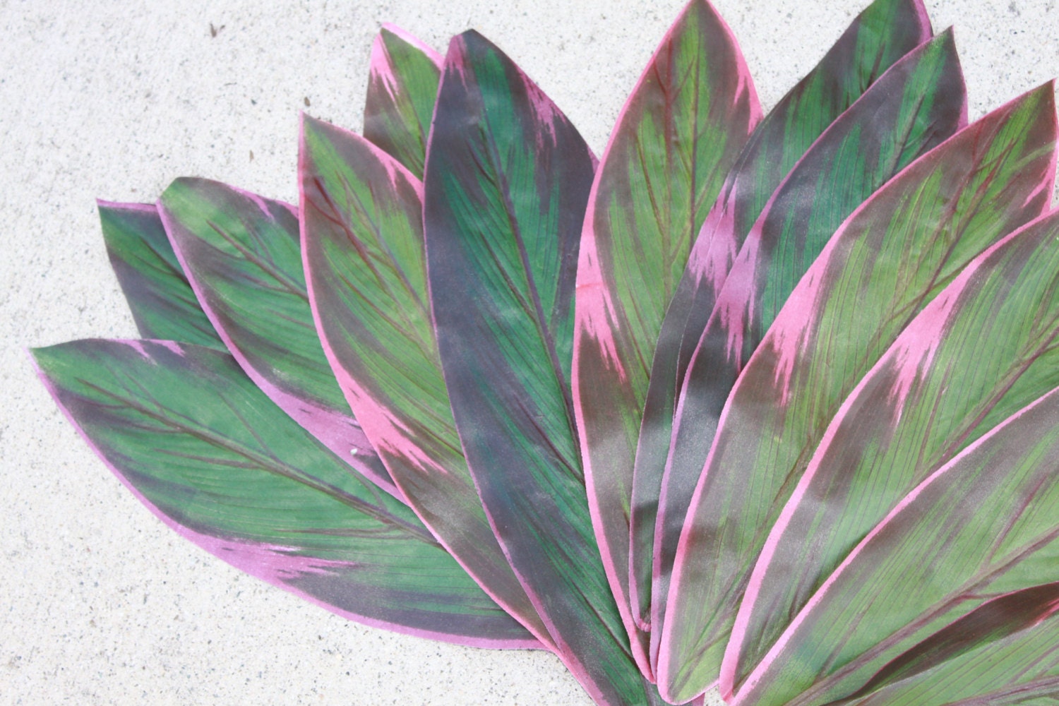 Silk Ti leaves Ti leaf Polynesian costumes variegated green