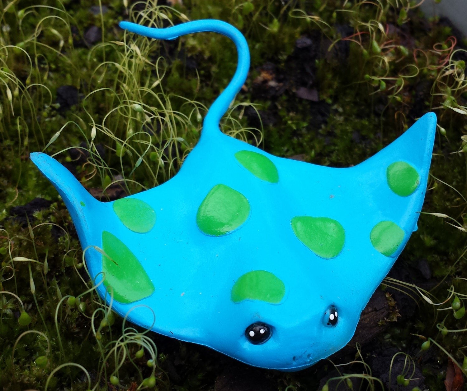 Miniature Manta Ray set of 5