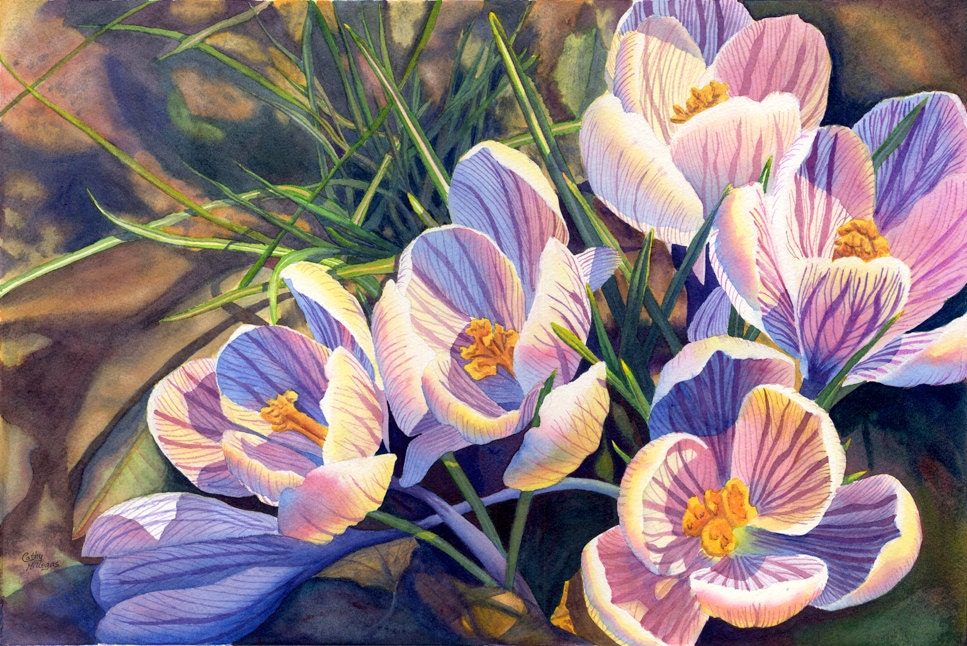 Crocus Art Watercolor Painting Print by Cathy Hillegas 12x18