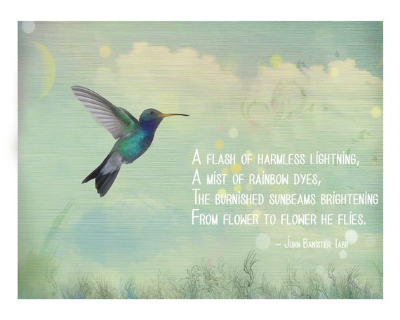 Items similar to Hummingbird Poem, Nursery Art, Kids Room Decor, Bird ...