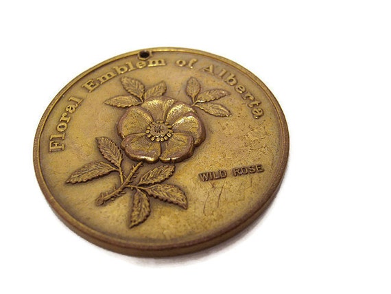 Vintage Floral Emblem of Alberta Wild Rose Flower by SharkysWaters