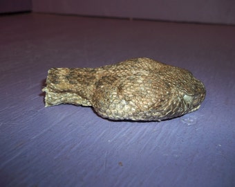 Diamond head snake | Etsy