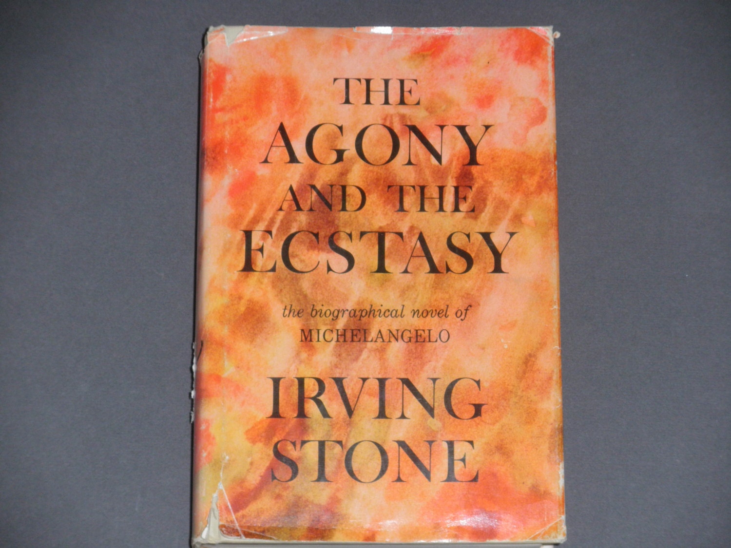 The Agony and the Ecstasy Irving Stone Biographical Novel