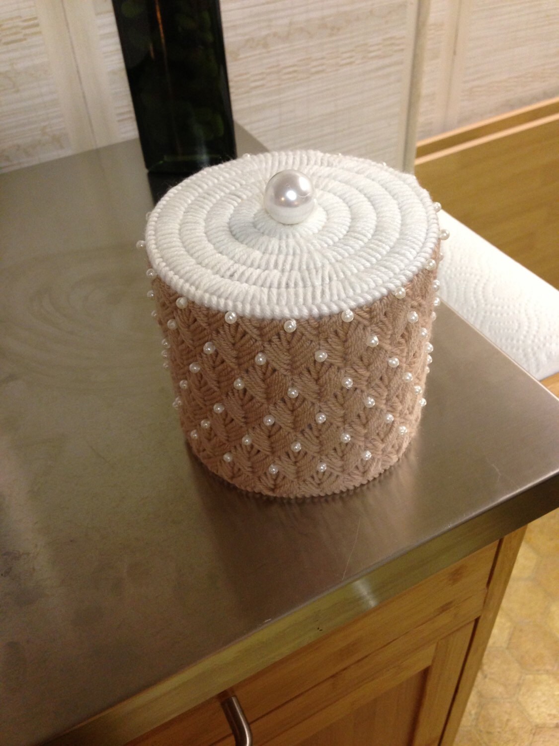 Plastic canvas toilet paper cover