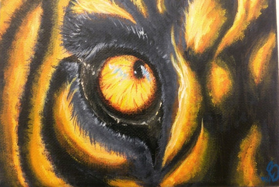 Fire Tiger Eye