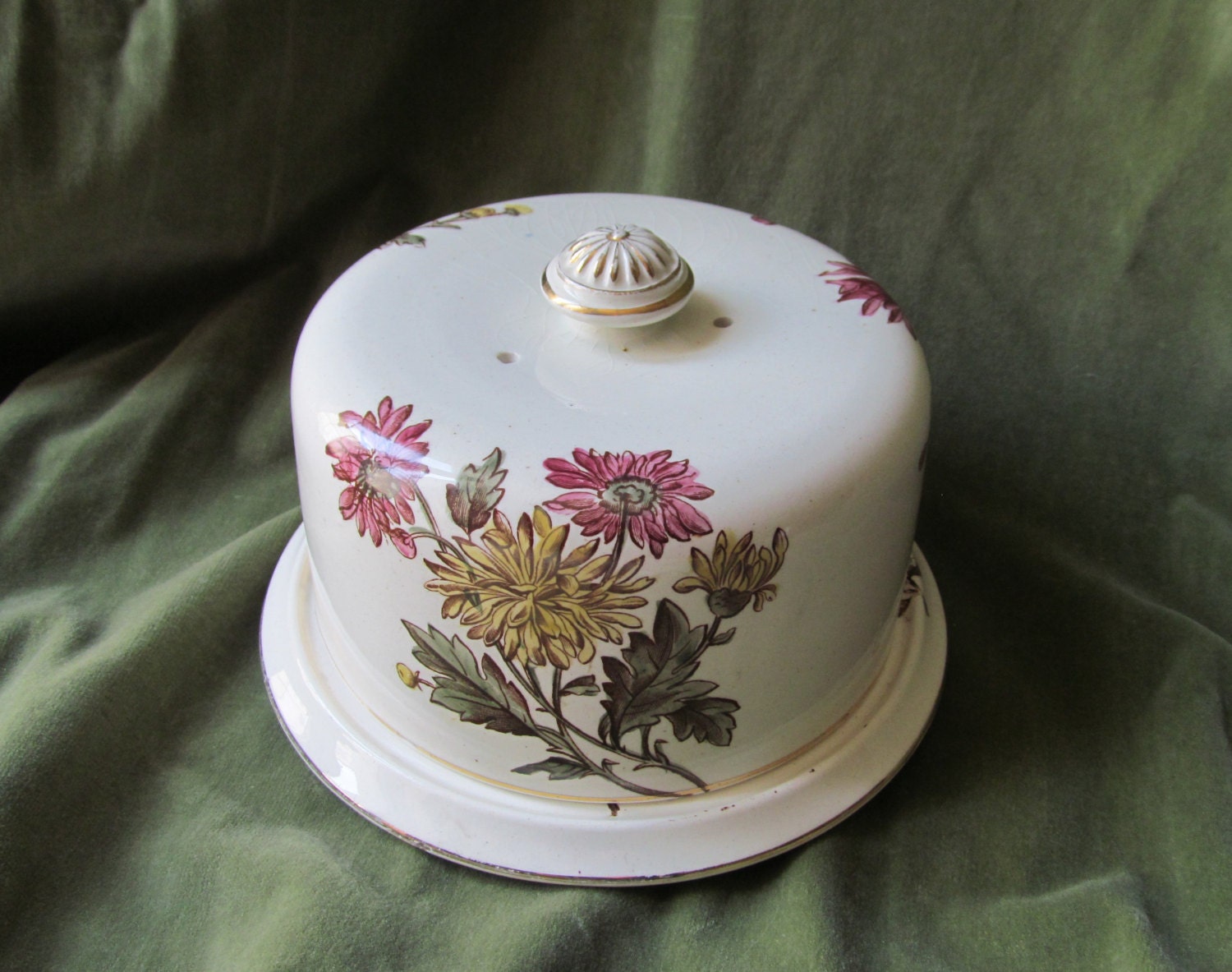 Charming Ceramic Cheese Dome/Cloche and Plate with Botanical Pattern ...