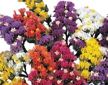 Unique statice seeds related items | Etsy