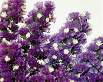 Unique statice seeds related items | Etsy