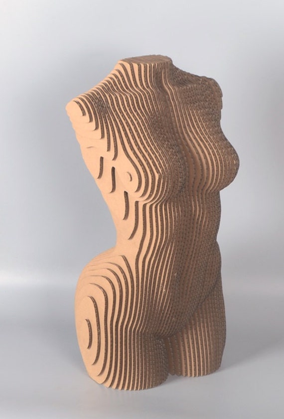 Sliced Woman Torso Diy Cardboard Craft