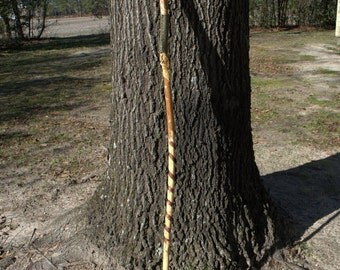 Popular items for crape myrtle on Etsy