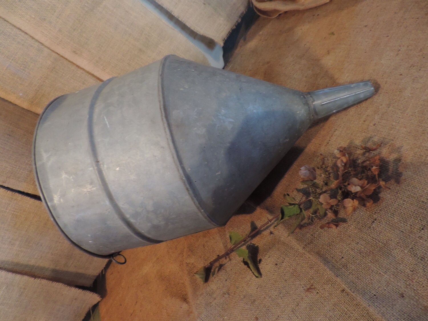 Chandeliers & Pendant Lights