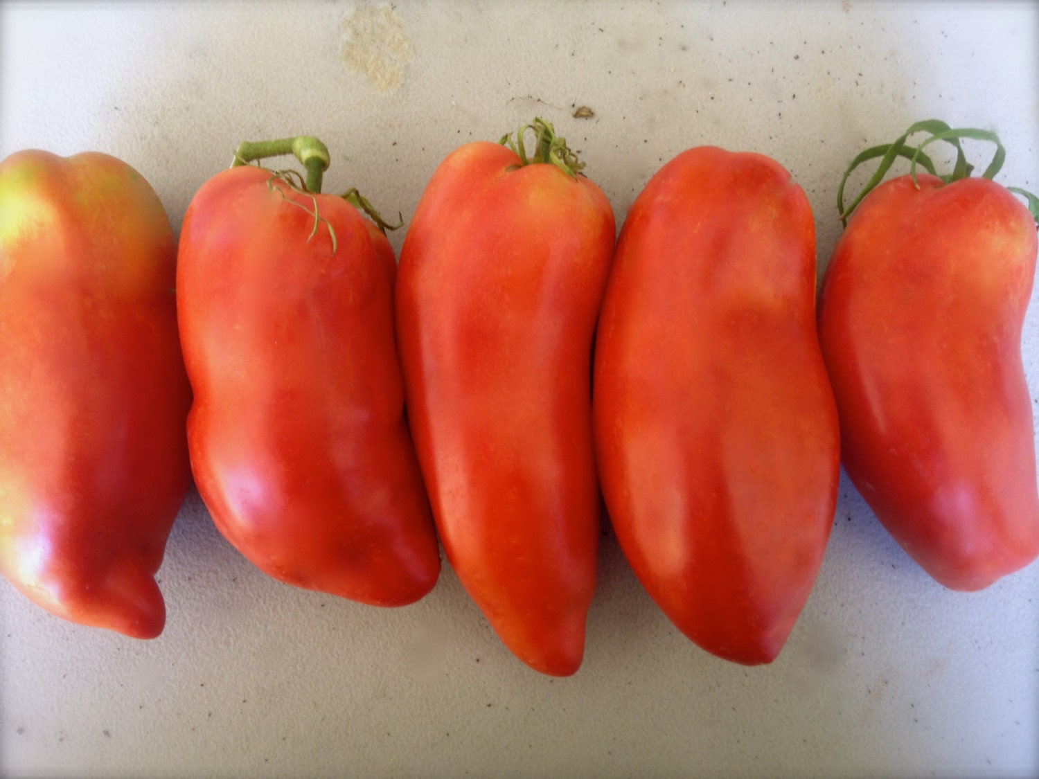 Italian Heirloom Tomato