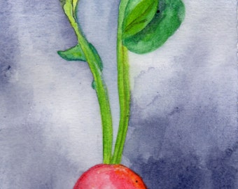 Radish painting | Etsy