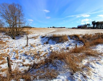 Popular items for amish farm on Etsy