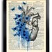 Heart Human Anatomy Butterfly Anatomical Heart Print on