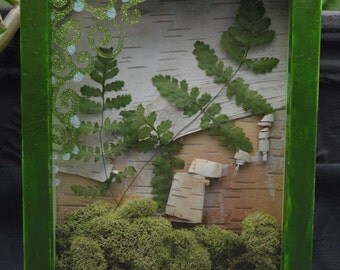 Moss shadow box | Etsy