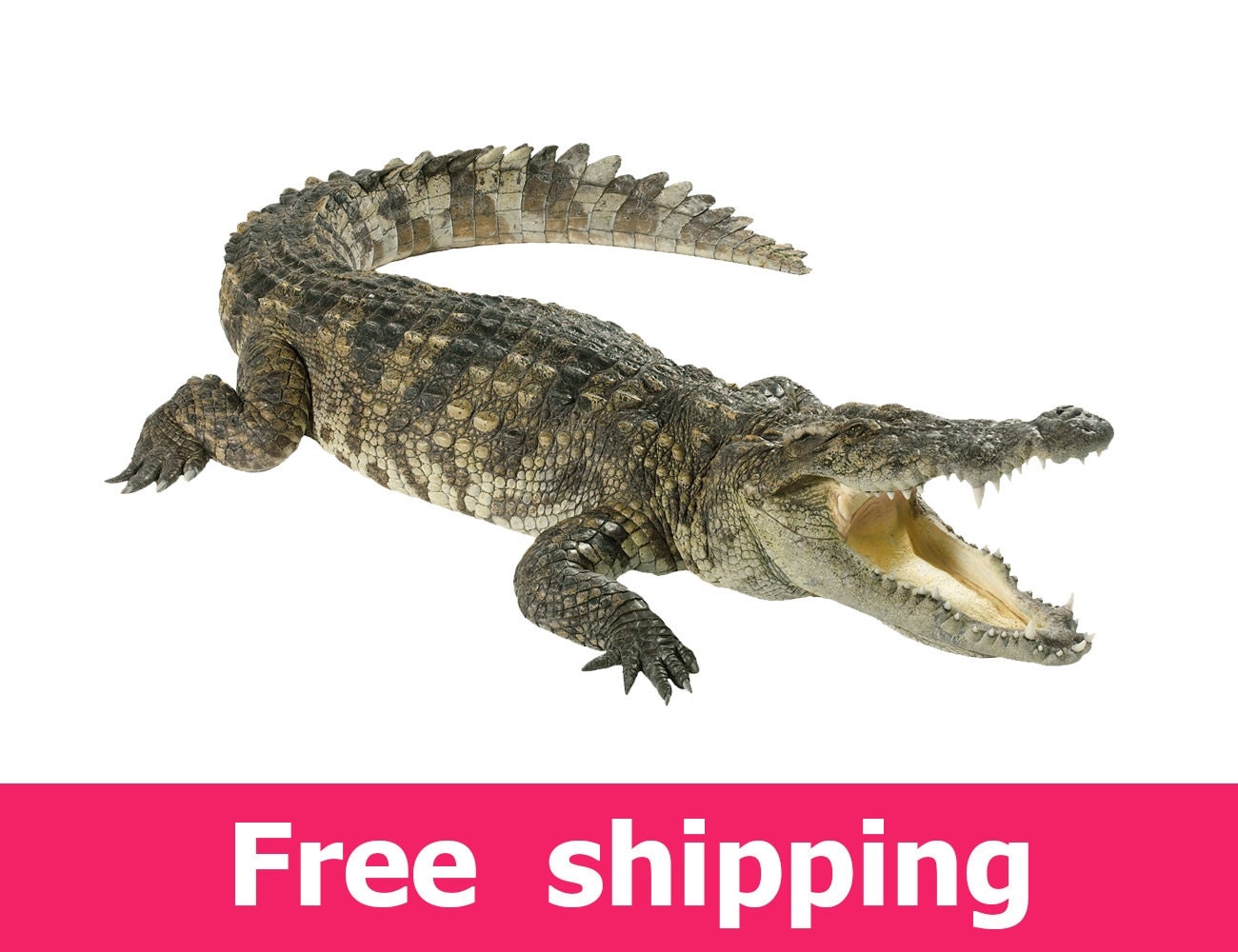 Crocodile wall sticker nursery decor crocodiles wall decal
