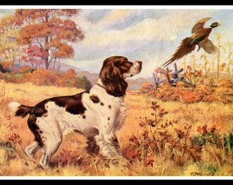 Popular items for pheasant hunting on Etsy