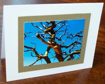 Popular items for nature theme cards on Etsy
