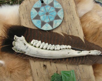 Scavenged Deer Jaw Bone Oddity Natural Bones Real Mammal Teeth Crafts ...