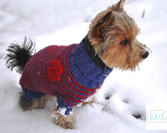 Maltese clothes | Etsy