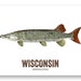 Wisconsin State Fish Map art Nature Outdoor art Vintage Map