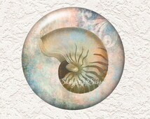 Popular items for sea shell mirror on Etsy