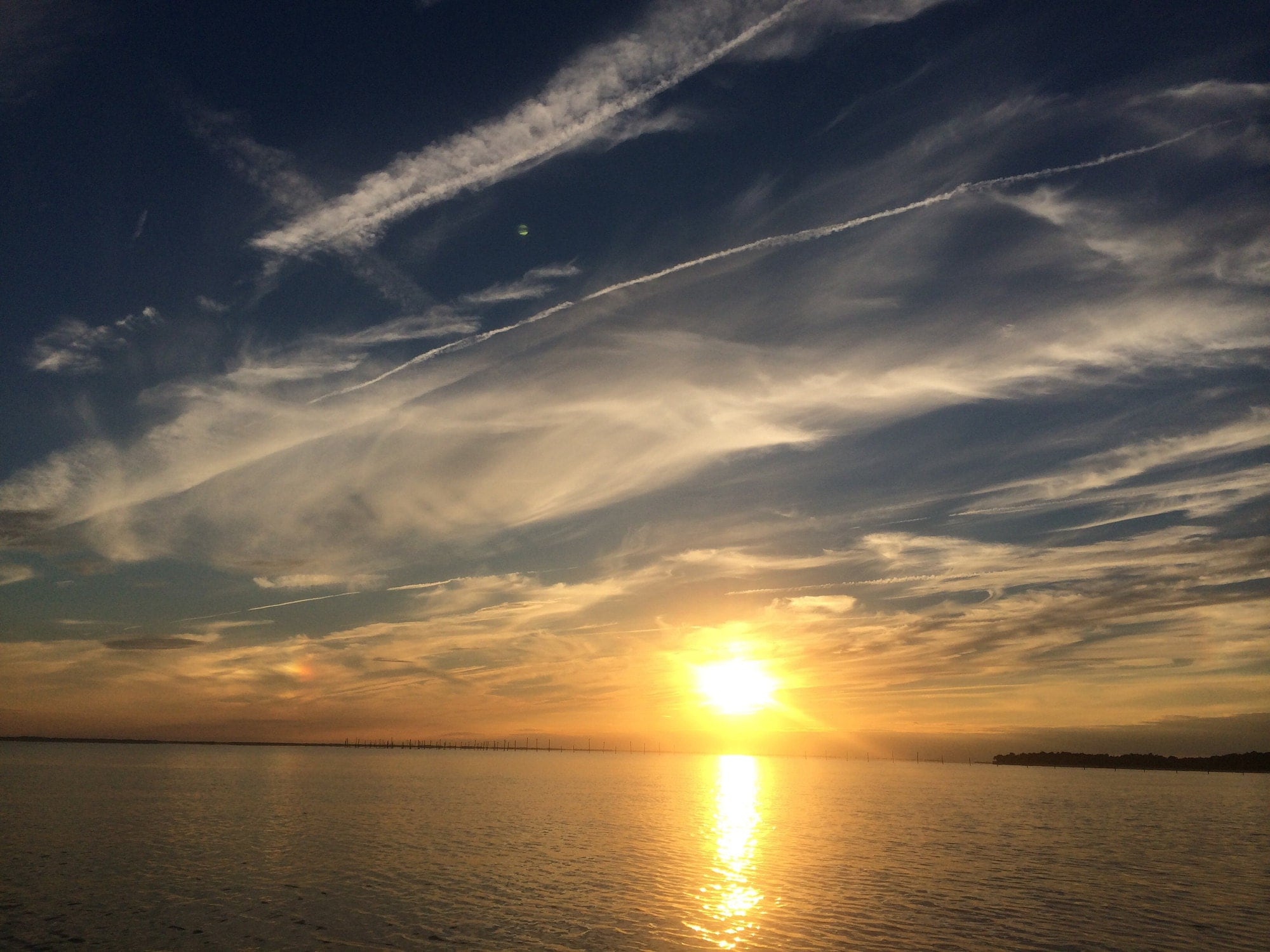 MicroLandscapeDesign on Etsy