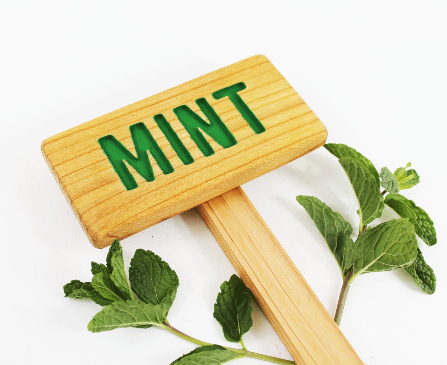 MINT Garden Sign Painted & Oil Sealed Cedar Wood: Hand Routed