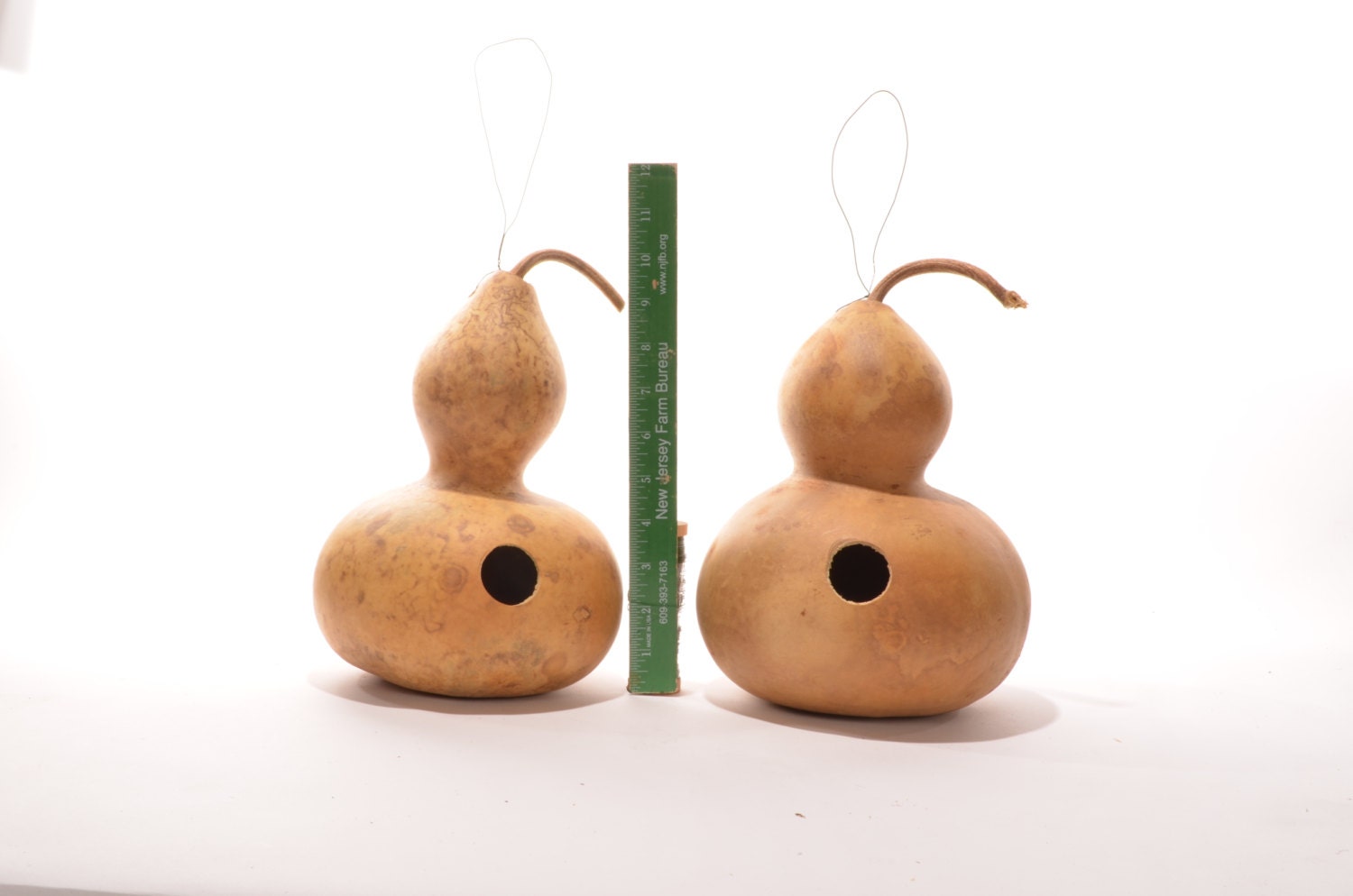 Two 2 Wide Bottle Gourd Birdhouses natural gourd birdhouse