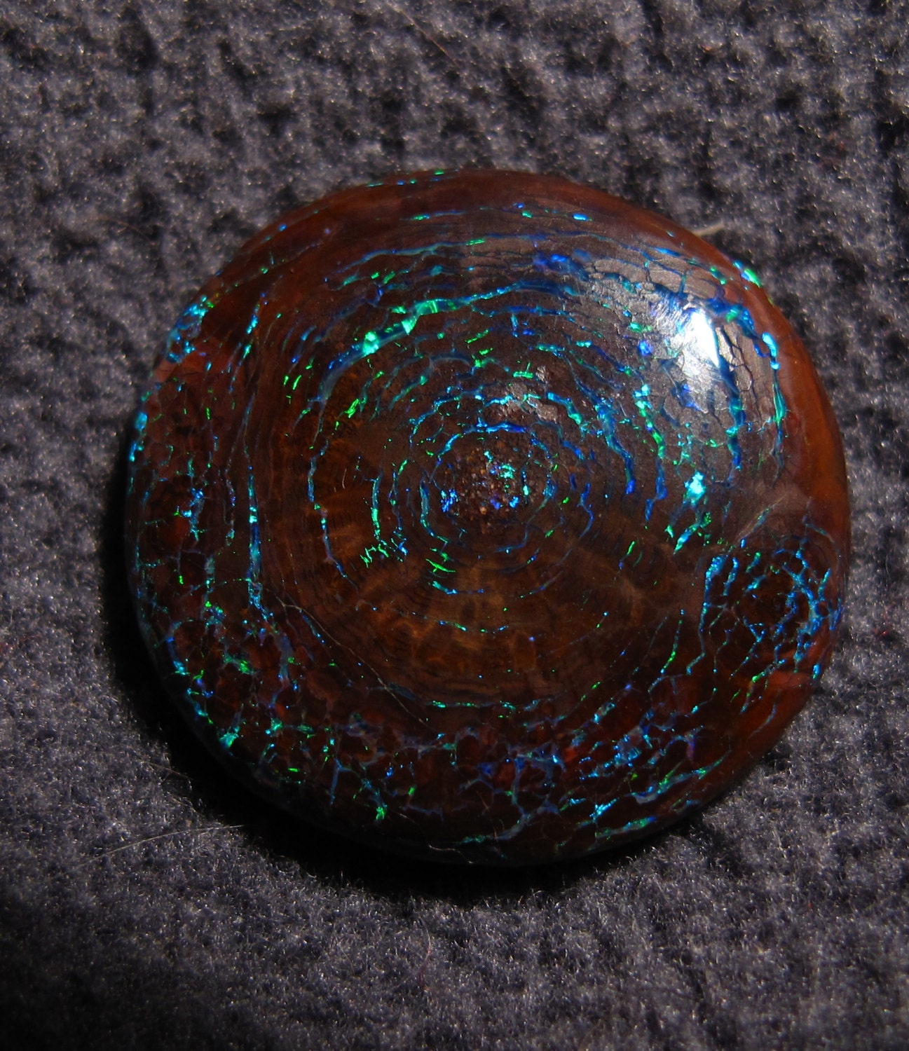 Opalized wood fossil from Queensland Australia : r/pics