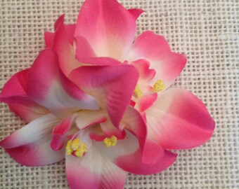 Tropical Silk Ti Leaf Bun Wrap. Braided Ti Leaf by TiareOPatitifa