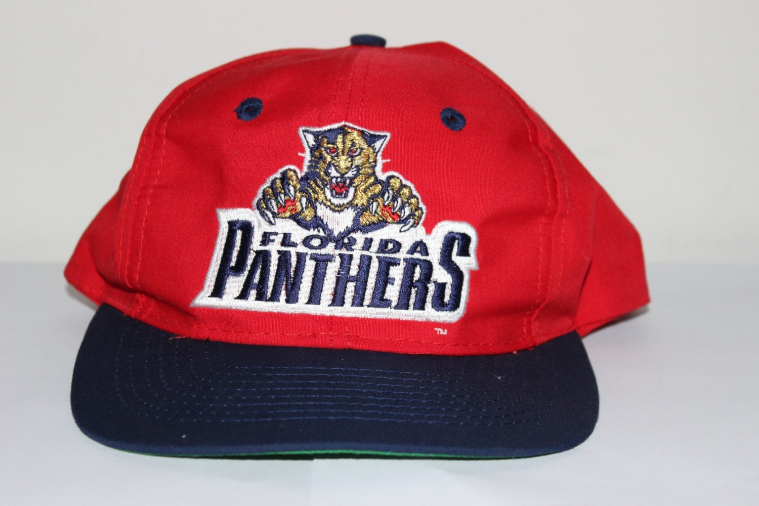 Vintage Florida Panthers NHL Snapback Hat – Haute Juice